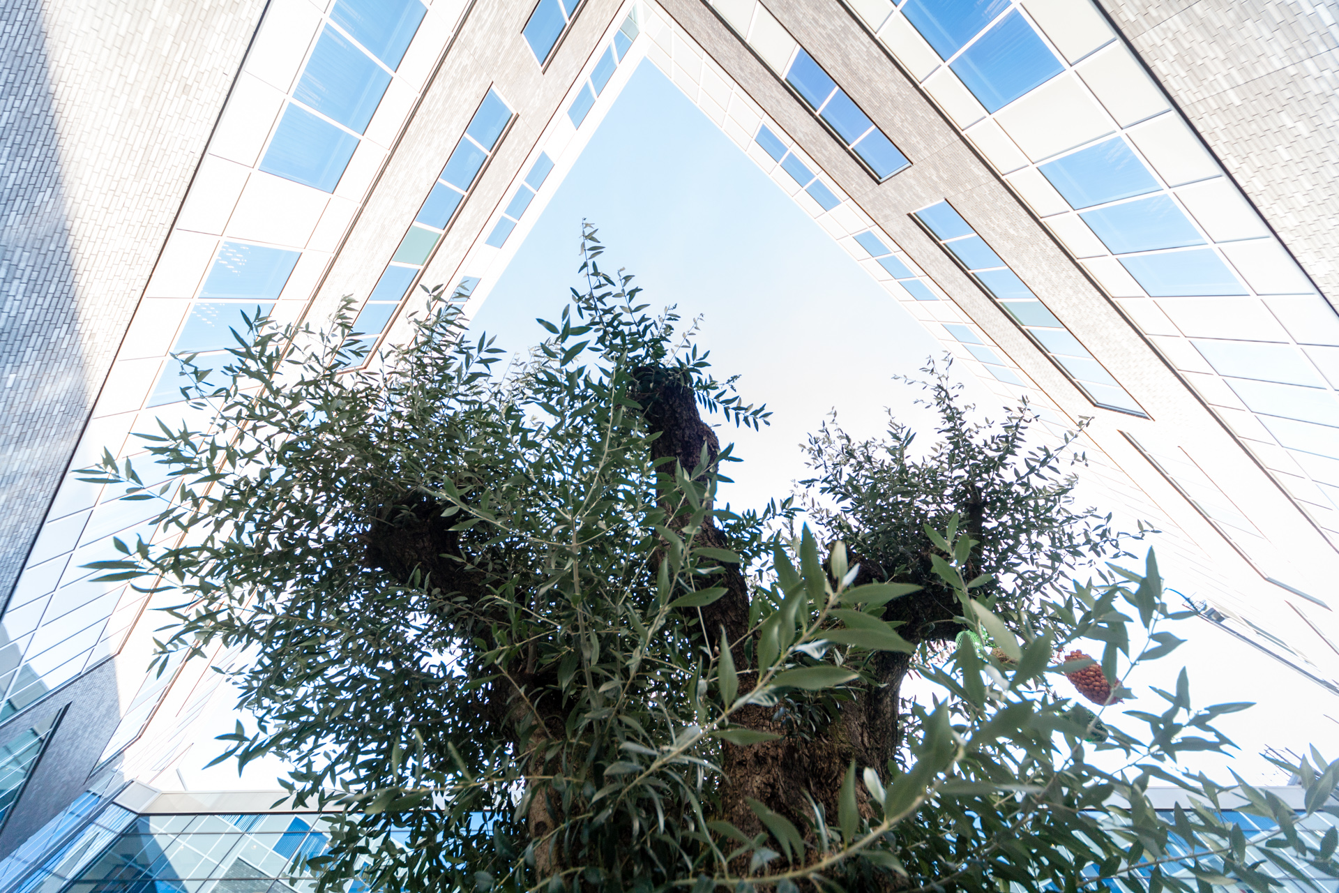 Sales Japan - help launch our innovative products to major Japanese ...