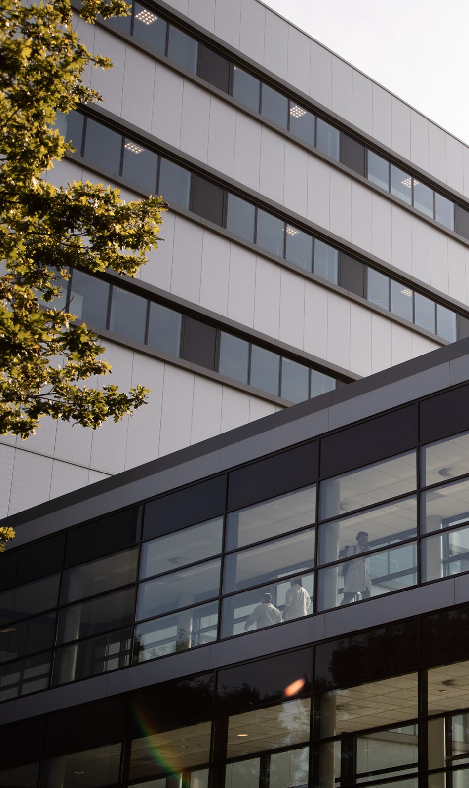 Company Profile | Prodrive Technologies